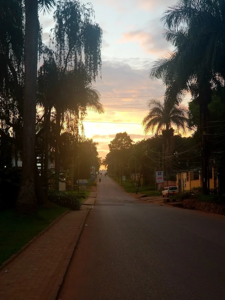 Bandali Rise in Kampala | What to Know Before You Go
