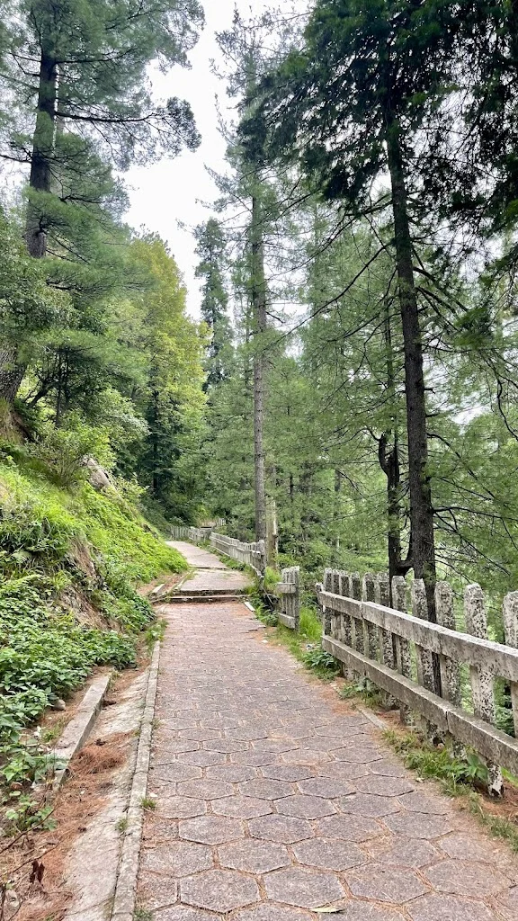 Milk Farm Trek in Gharial Camp - Ask AI | mindtrip