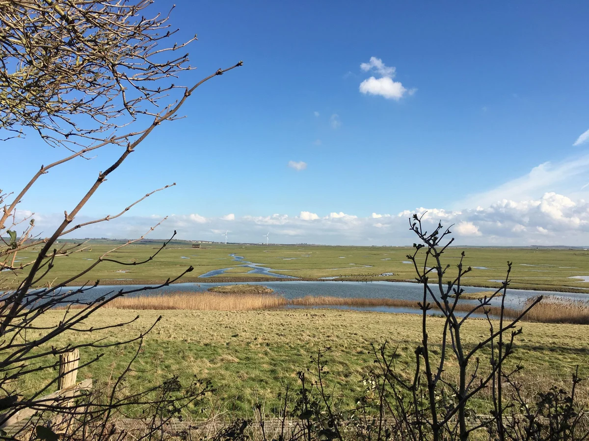Elmley National Nature Reserve - Day Visit