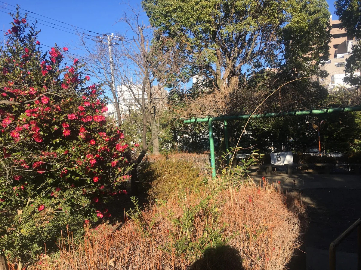 Fuyo Park in Hino | What to Know Before You Go