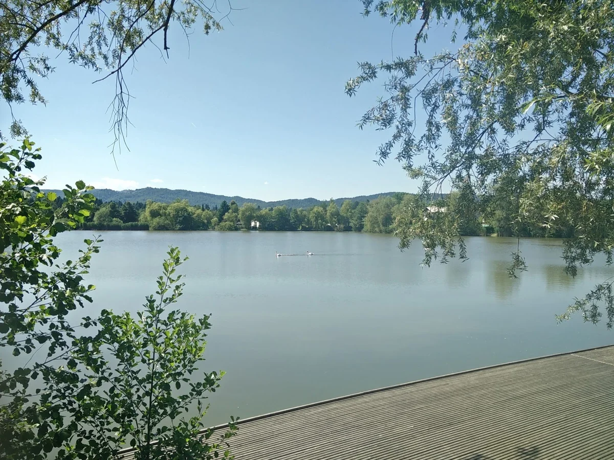 Koseze Pond in Ljubljana - Ask AI | mindtrip
