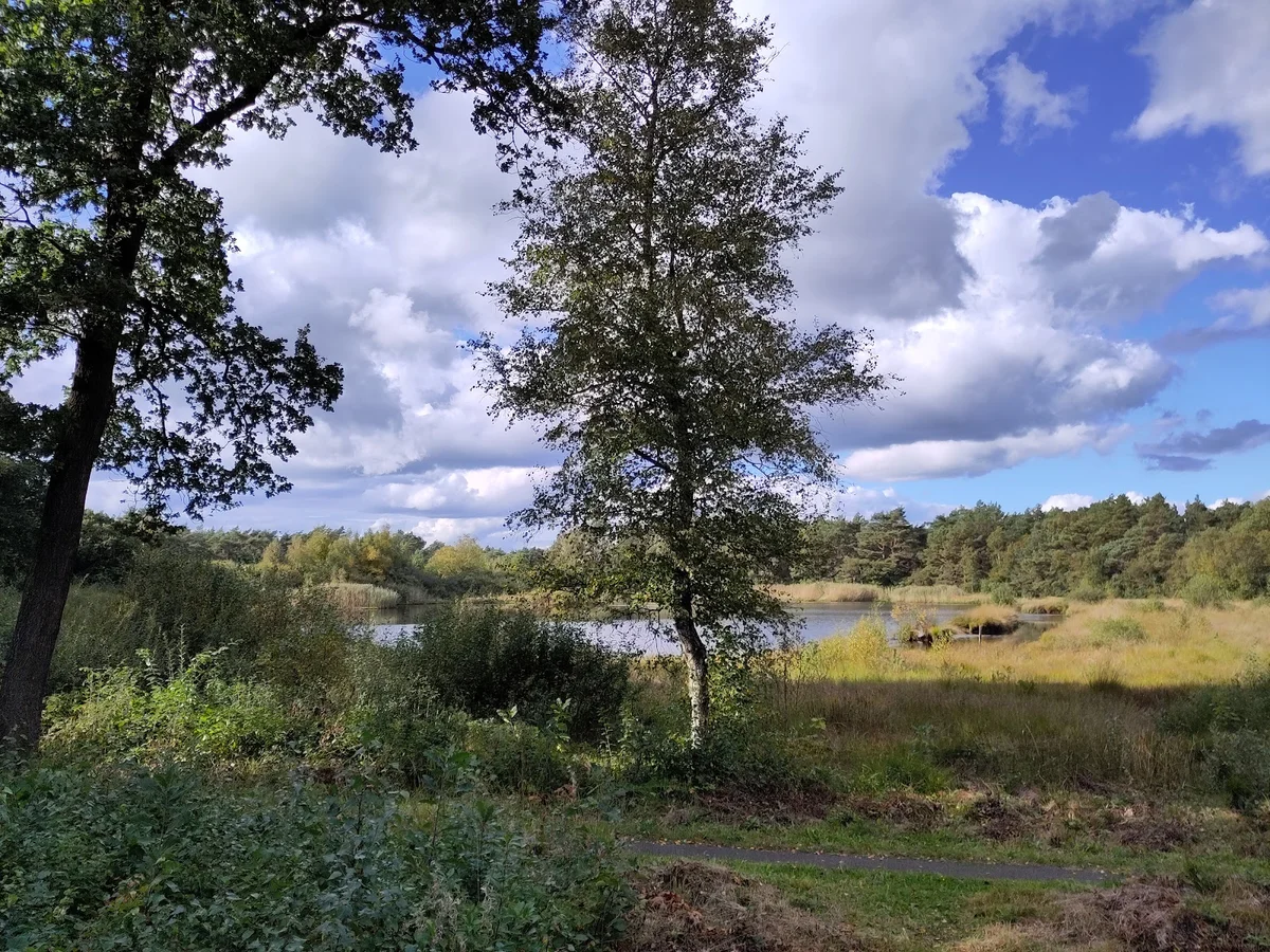 Holtingerveld in Uffelte | What to Know Before You Go