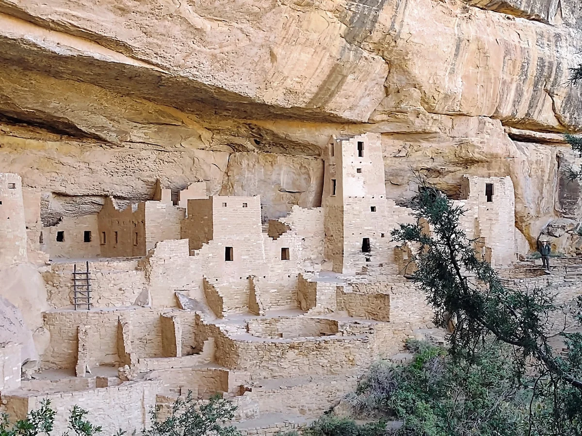 Cliff Palace in Colorado | What to Know Before You Go