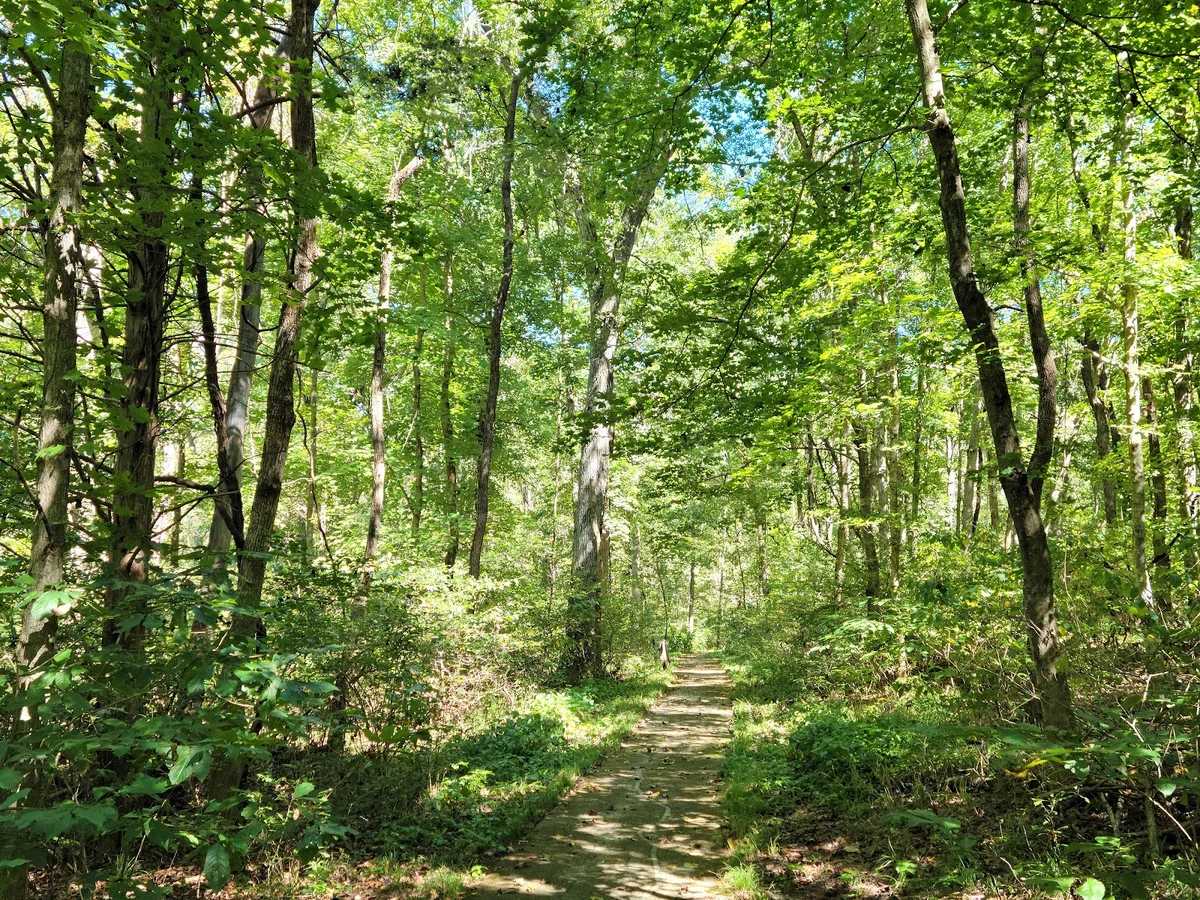 Meramec Conservation Area in Sullivan - Ask AI | mindtrip