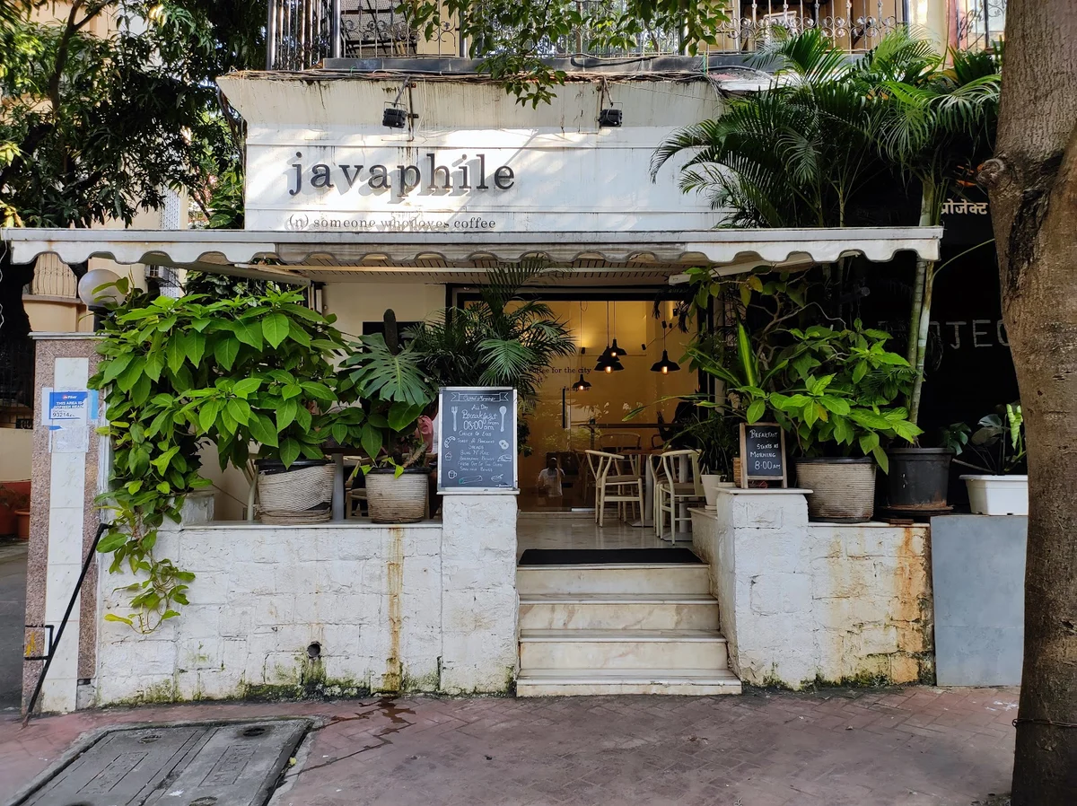 javaphile pali in Mumbai, Maharashtra - Ask AI | mindtrip