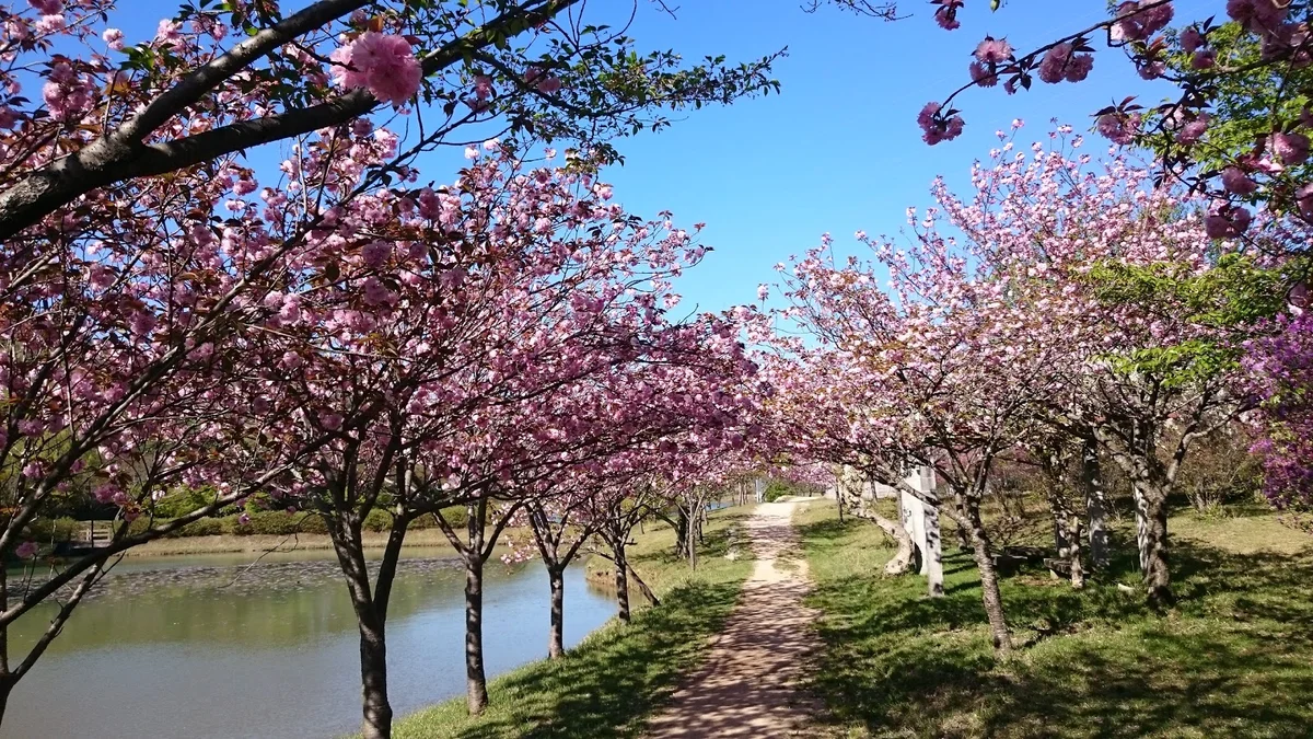 Nishiwaki Park in Nishiwaki - Ask AI | mindtrip