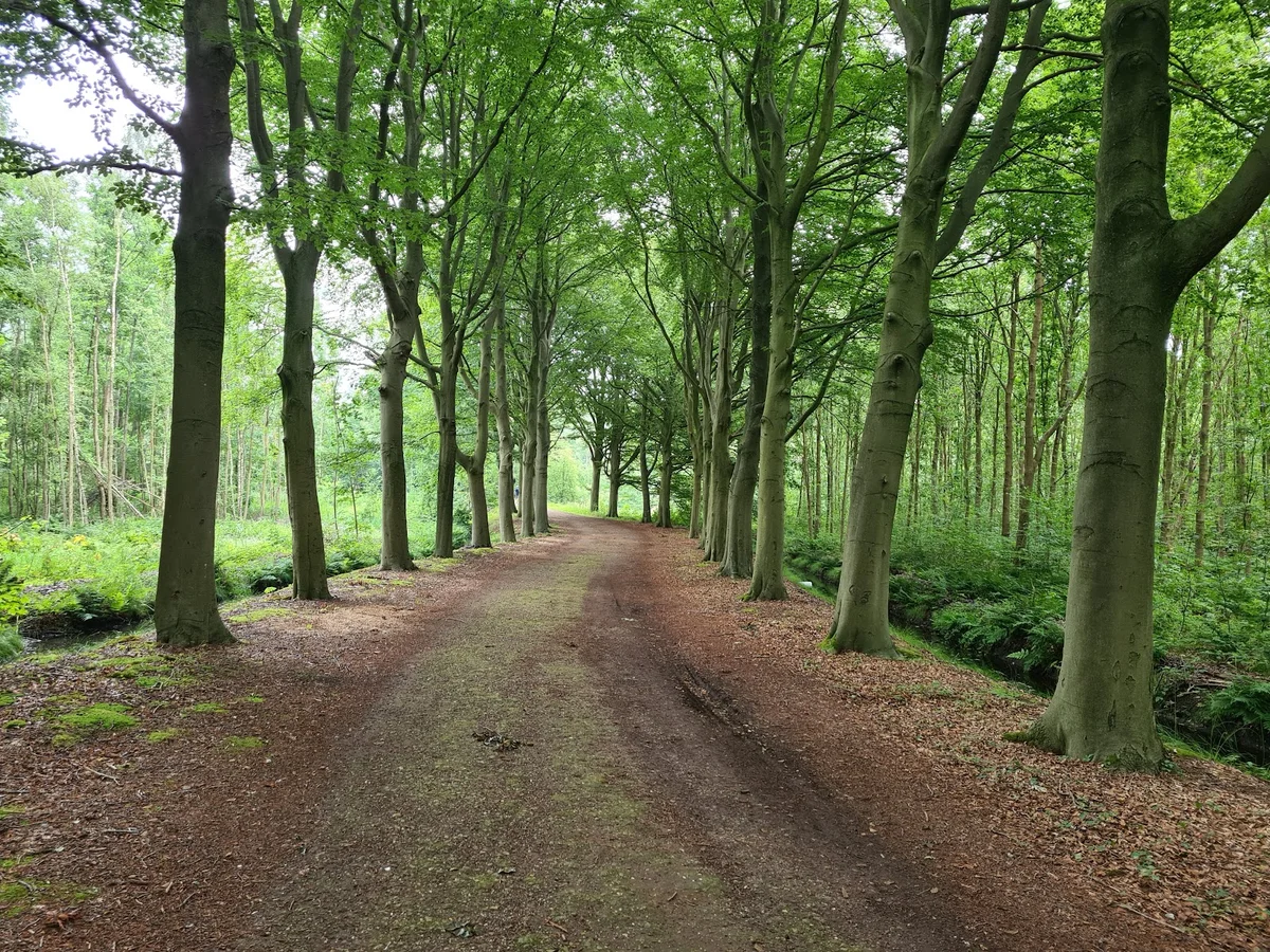 Landgoed De Horsten in Wassenaar - Ask AI | mindtrip
