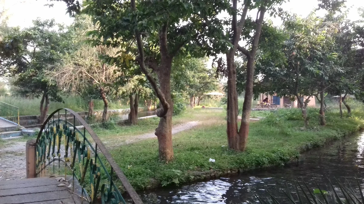 Lachhiwala Range in Balawala | What to Know Before You Go