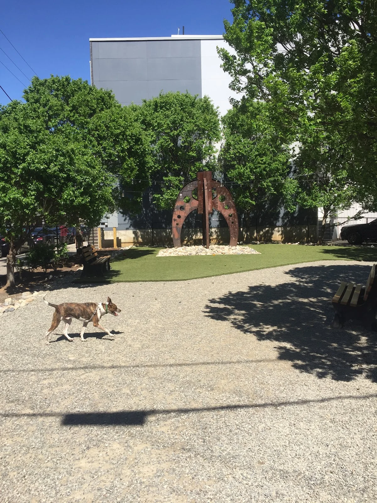 Piazza Dog Park in Philadelphia | What to Know Before You Go
