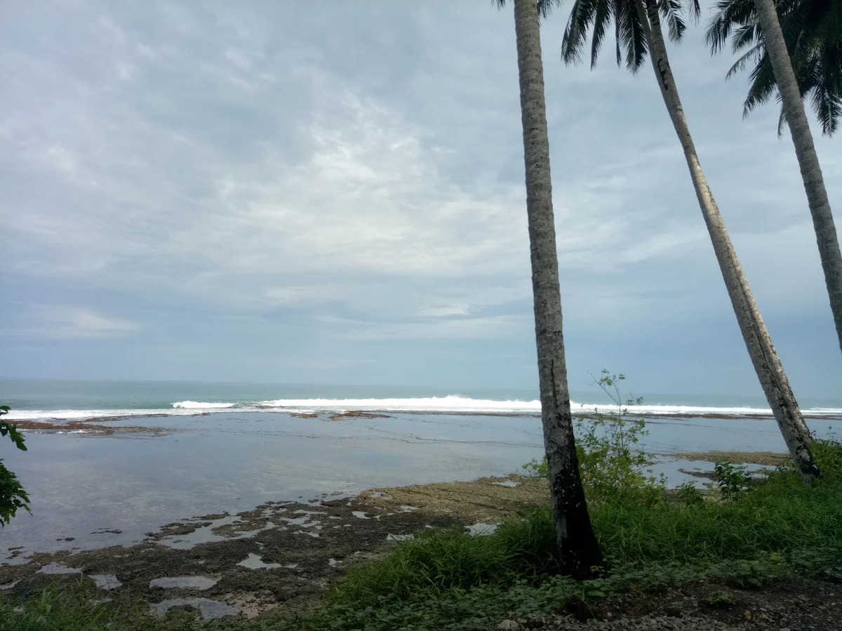 Nias in Gunungsitoli, North Sumatra - Ask AI | mindtrip