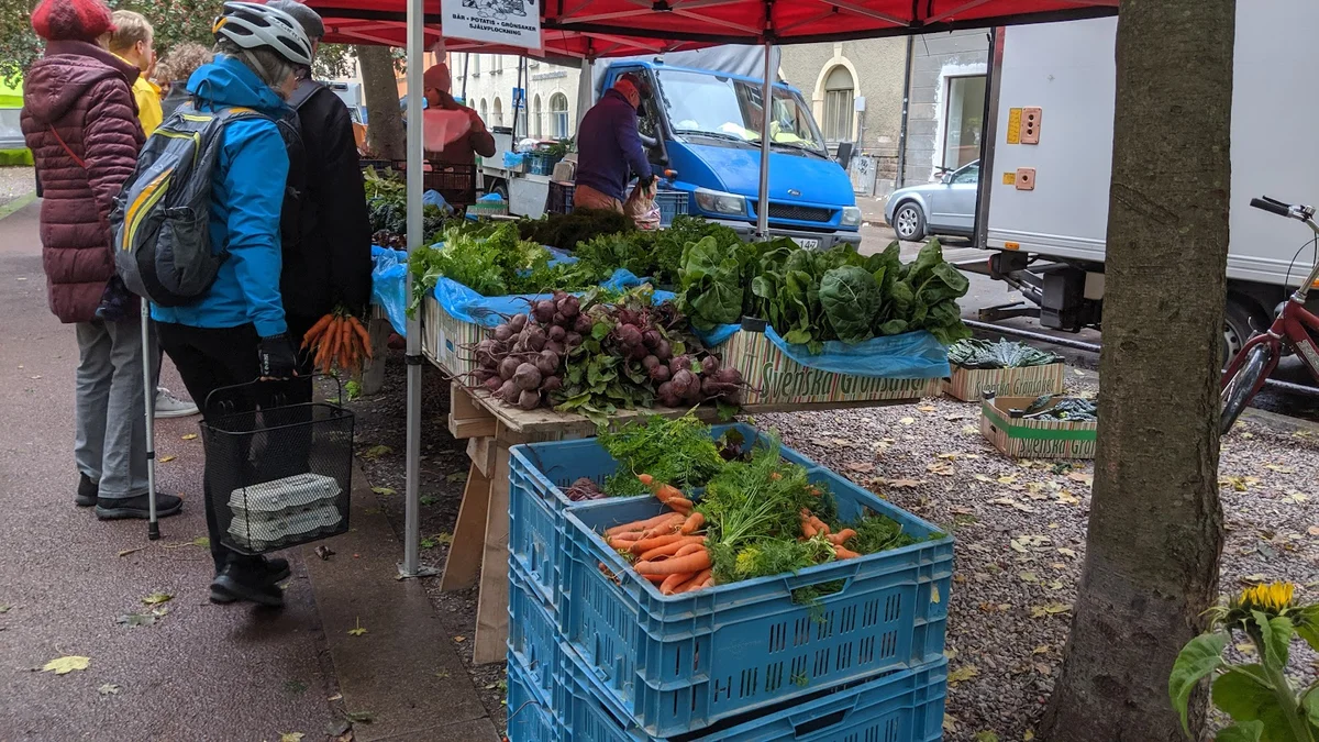 Bondens Marknad in Stockholm | What to Know Before You Go
