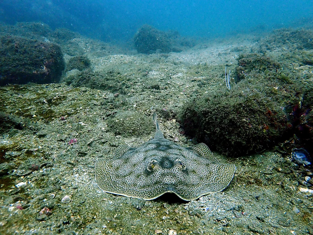 Summer Salt Dive Center | What to Know Before You Go