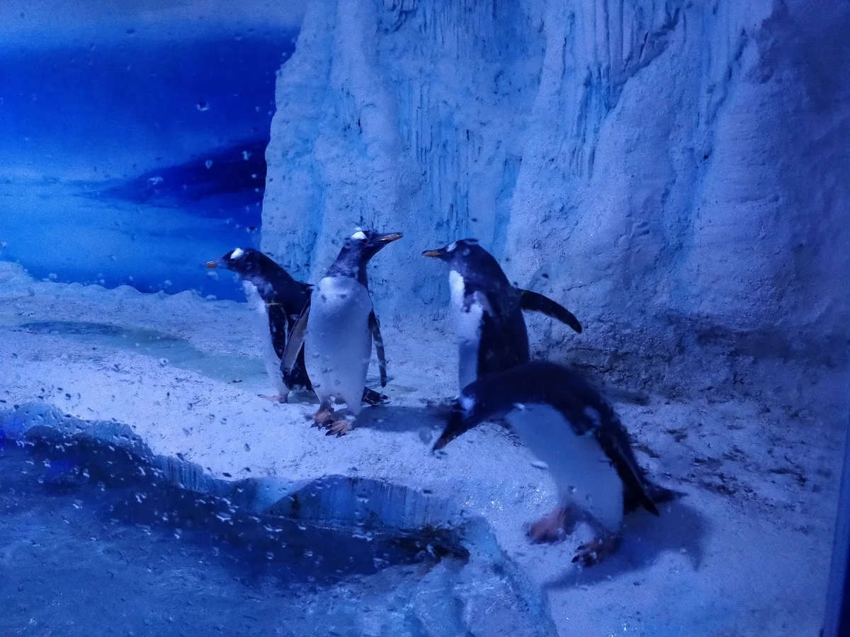 Merlin Entertainments in London | What to Know Before You Go