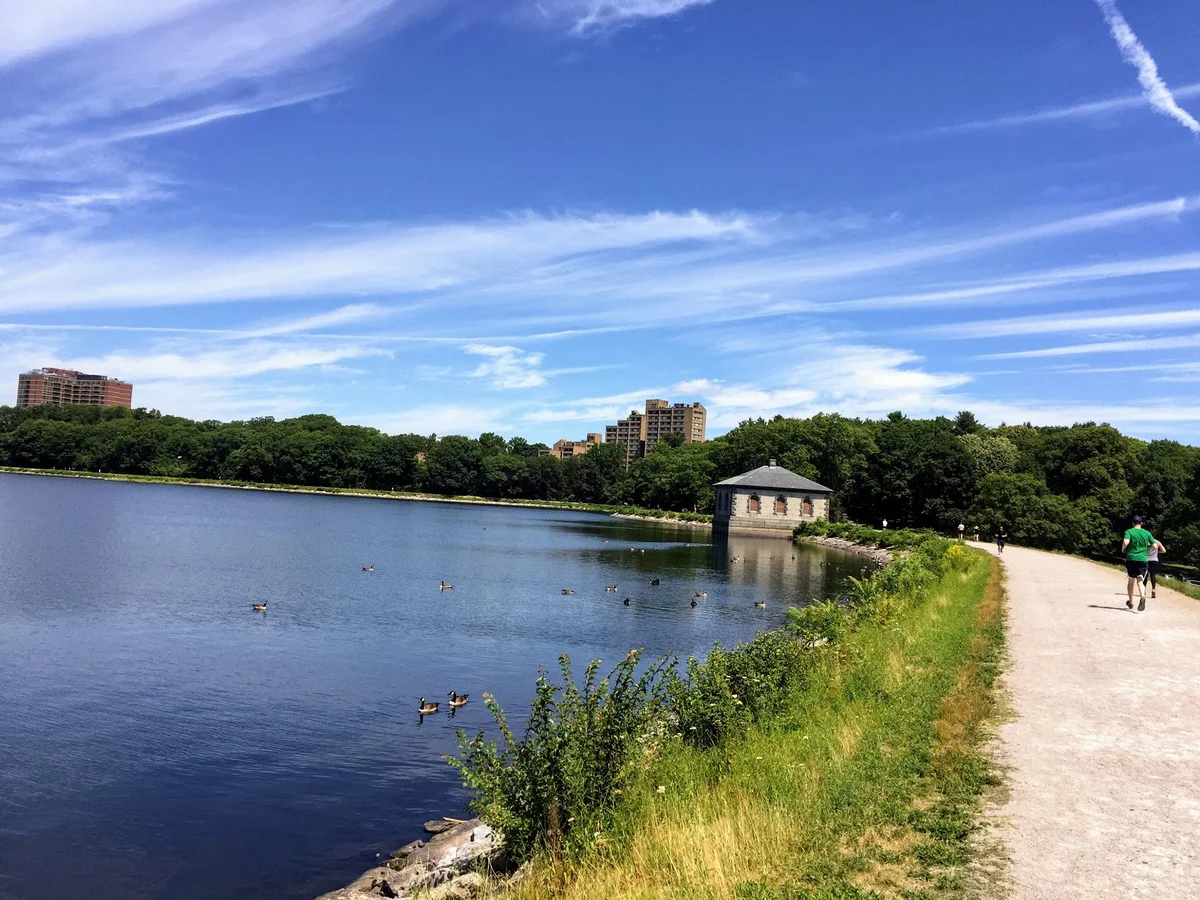 Chestnut Hill Reservoir | What to Know Before You Go