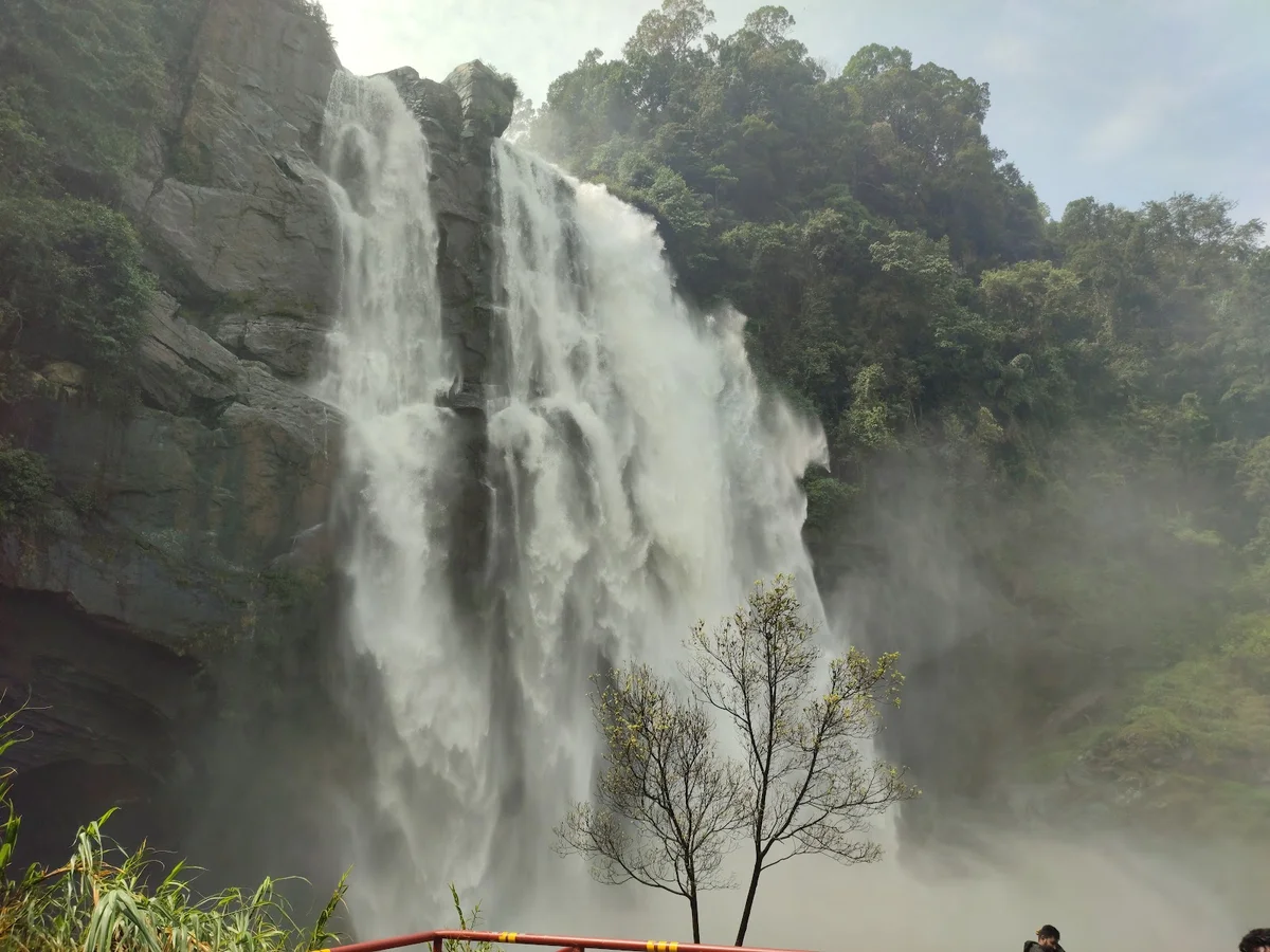 Aberdeen Waterfall | What to Know Before You Go