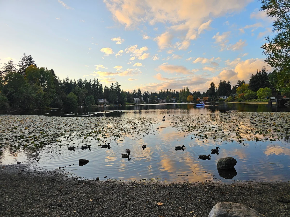 Bitter Lake Playfield in Seattle, Washington | Ask Anything