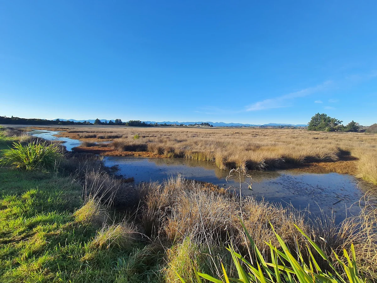 Motueka Inlet Walkway | What to Know Before You Go