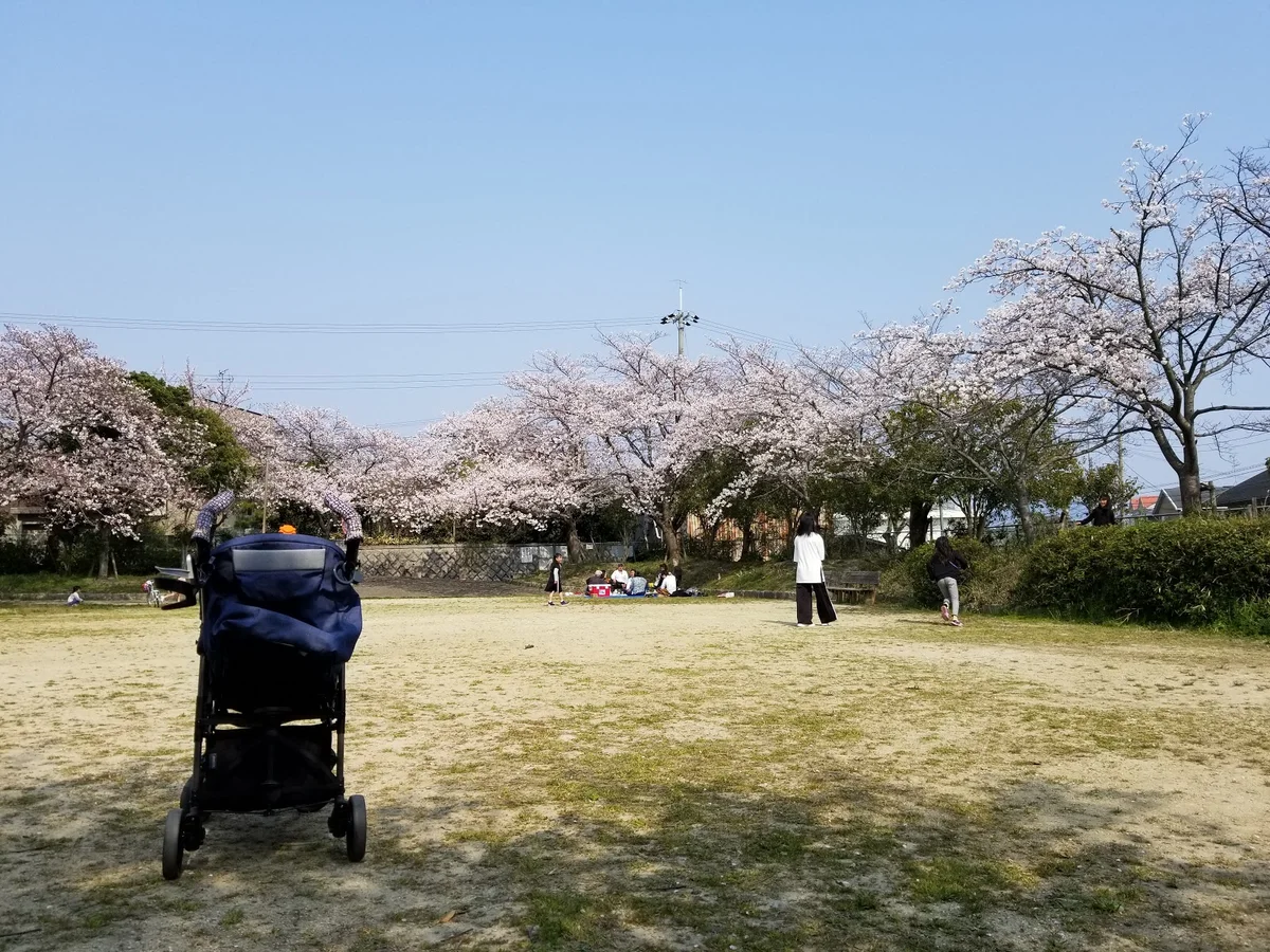 Saidaiji Nogami Ryokuchi Park | What to Know Before You Go