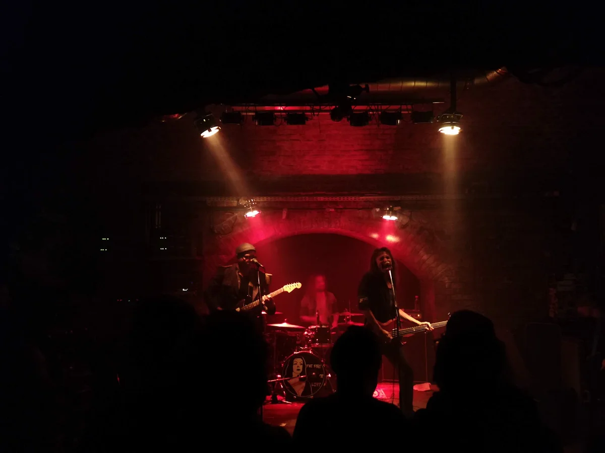Rhiz - Bar Modern in Vienna | What to Know Before You Go
