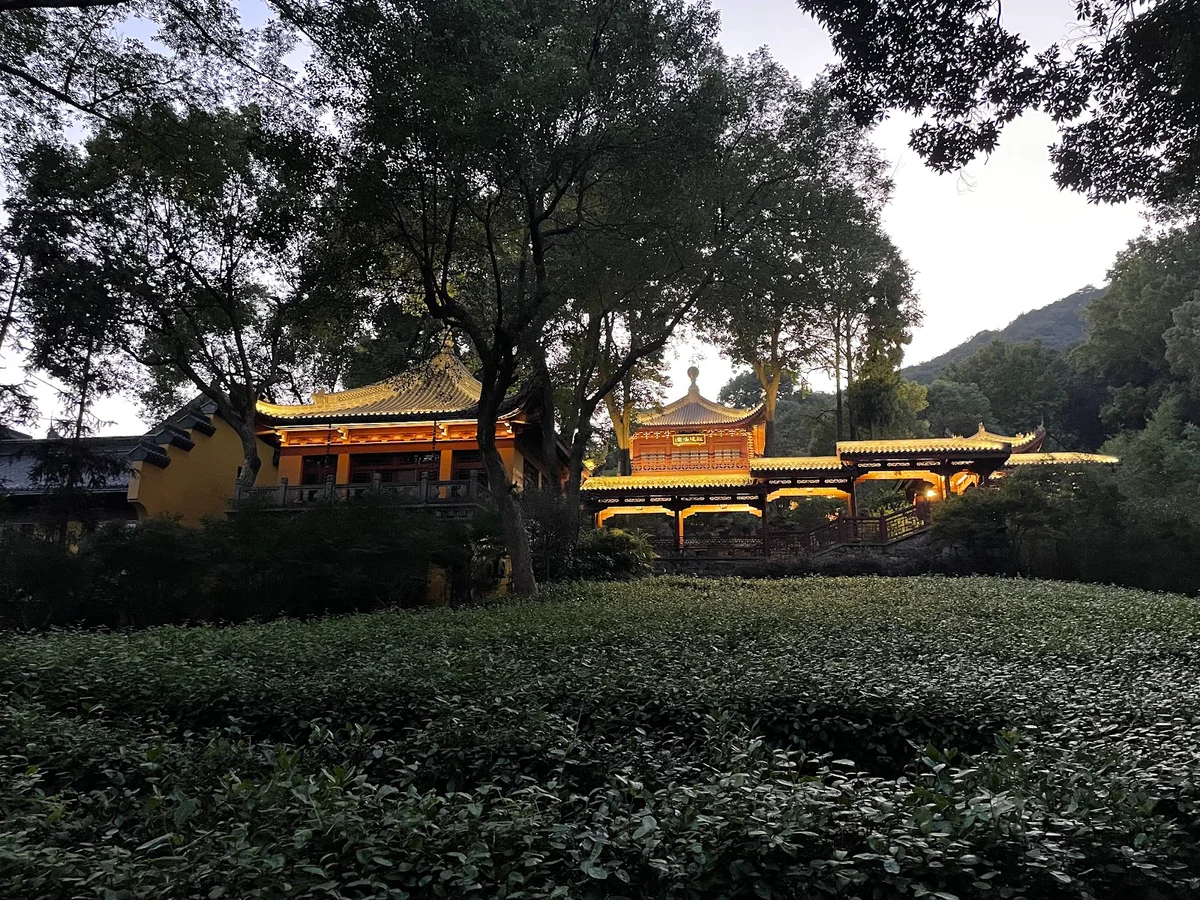 Yongfu Temple in Hangzhou | What to Know Before You Go