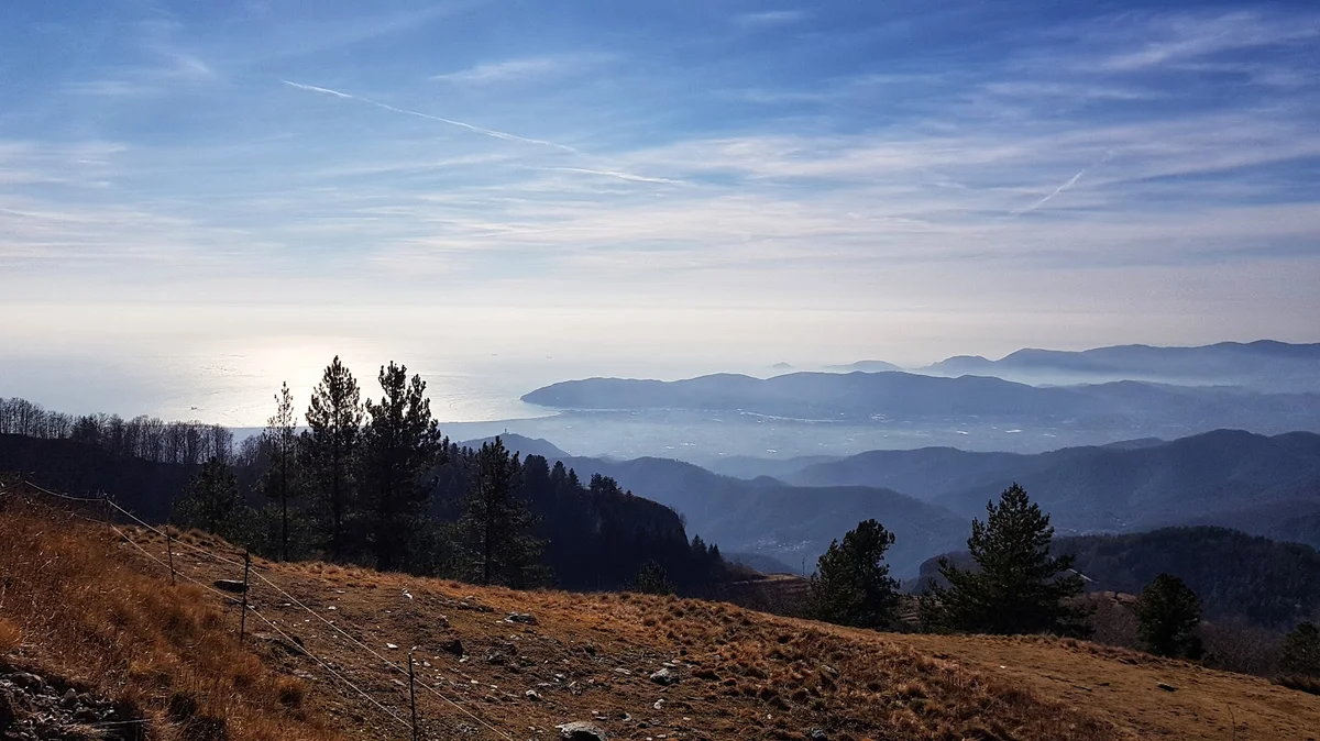 Campocecina in Carrara, Toscana - Ask AI | mindtrip