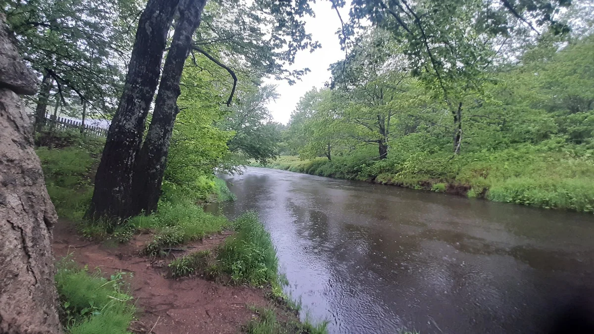 Annapolis River | What to Know Before You Go