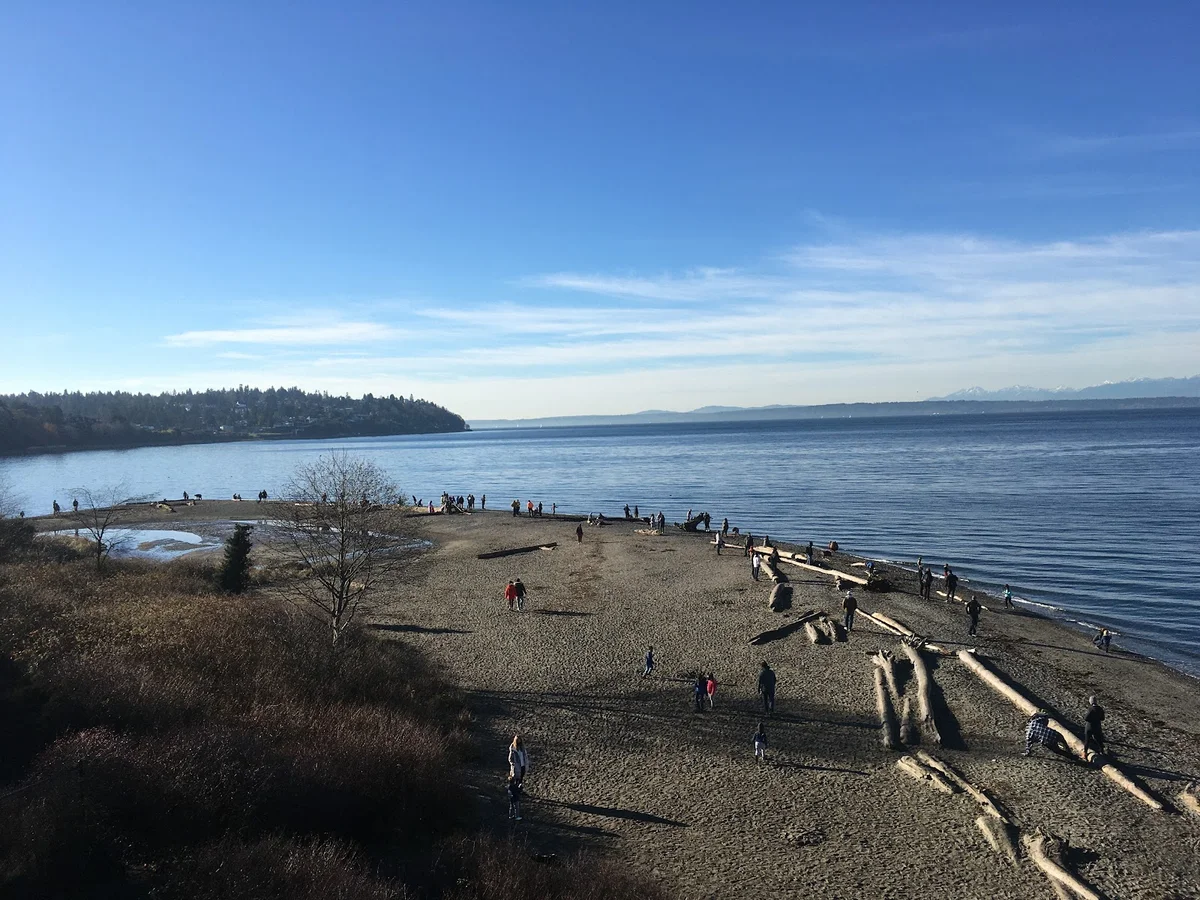 Carkeek Park Beach in Seattle - Ask AI | mindtrip