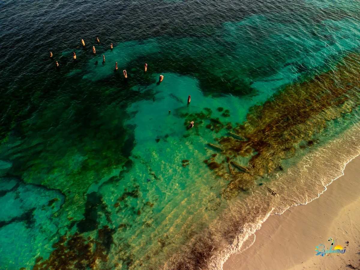 French Bay Access | What to Know Before You Go