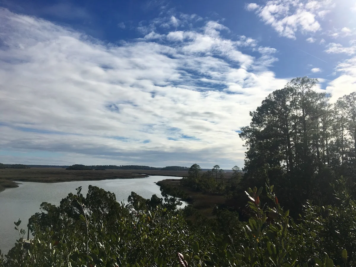 May River in Bluffton | What to Know Before You Go