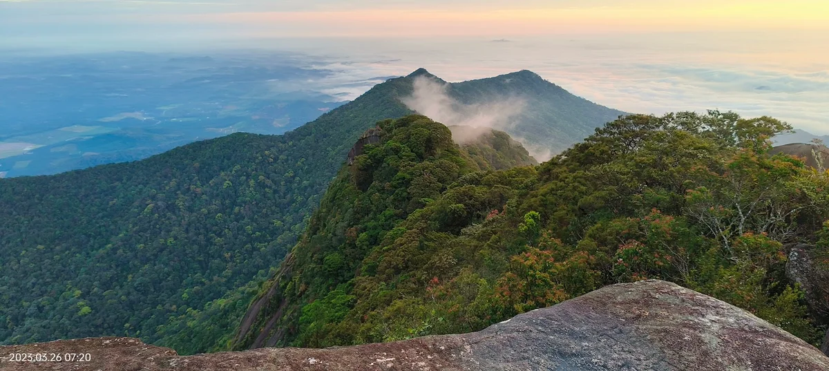 Gunung Ledang - Asahan Trail | What to Know Before You Go