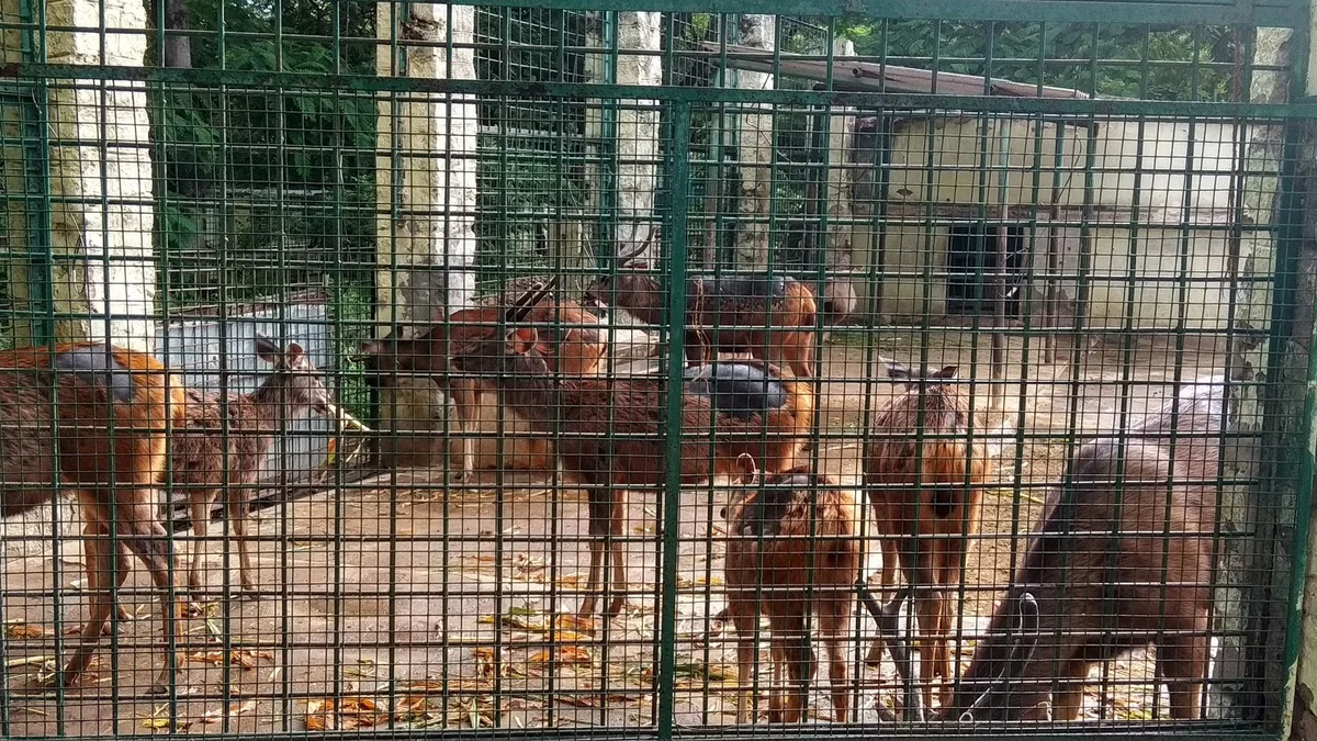 VOC park and zoo in Coimbatore, Tamil Nadu | Ask Anything