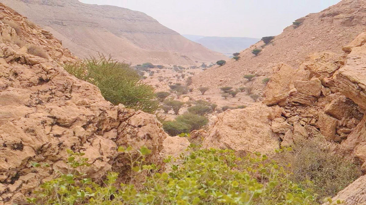 Mount Uraidh Hidden Spring in Riyadh | Ask Anything