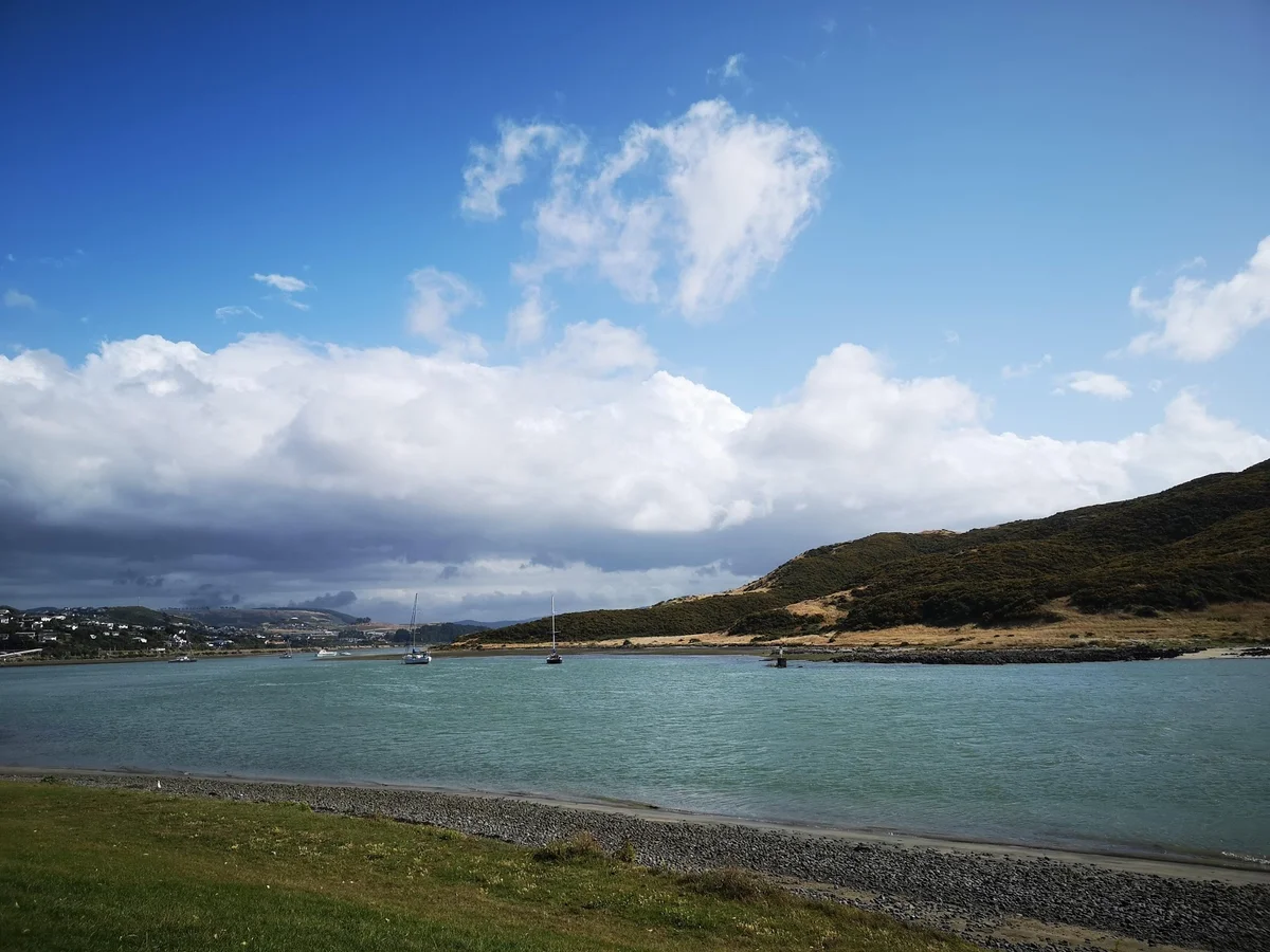 Ngāti Toa Domain in Porirua | What to Know Before You Go