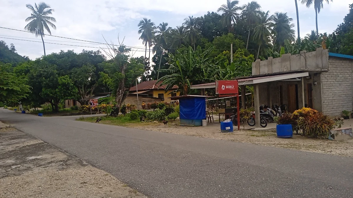 Lapai in South East Sulawesi | What to Know Before You Go