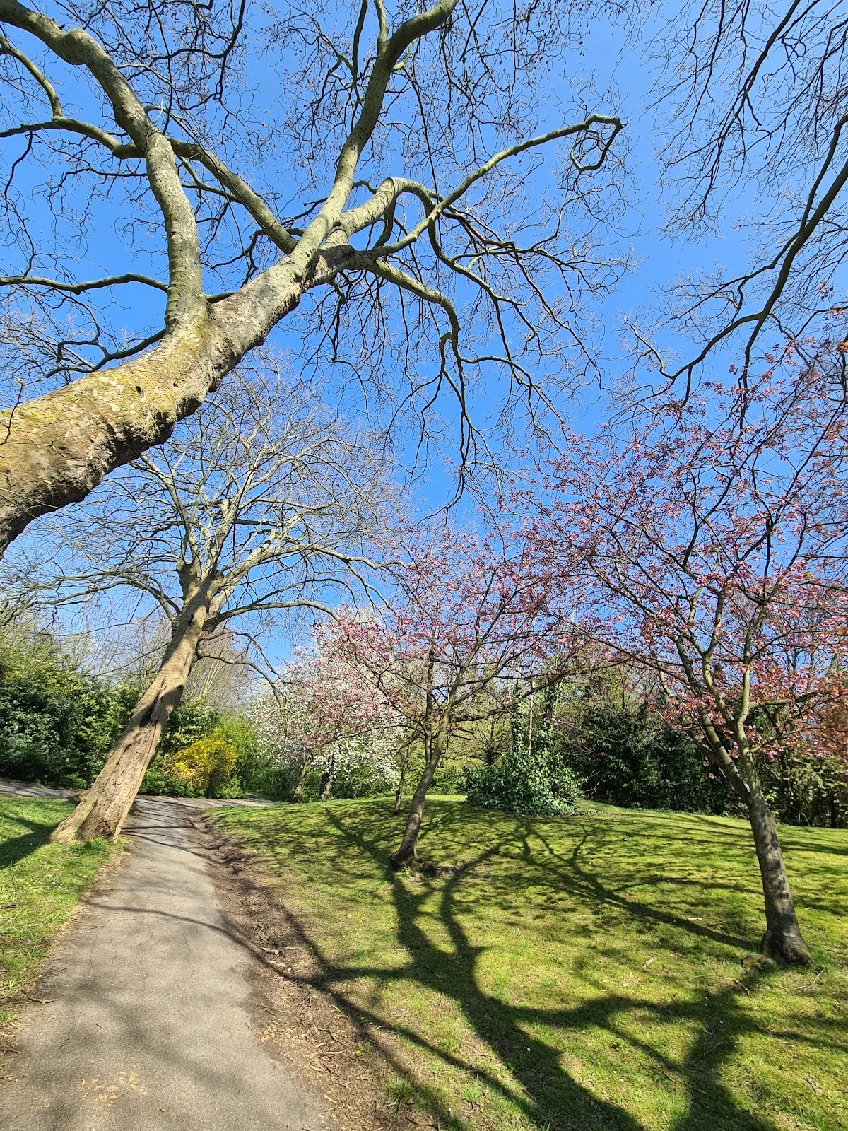 Maryon Park in London, England | Ask Anything