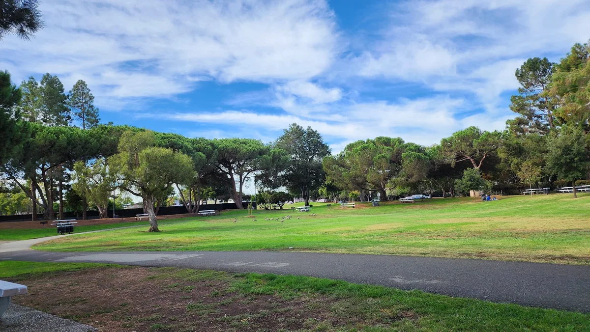 Newark Community Center Park | What to Know Before You Go