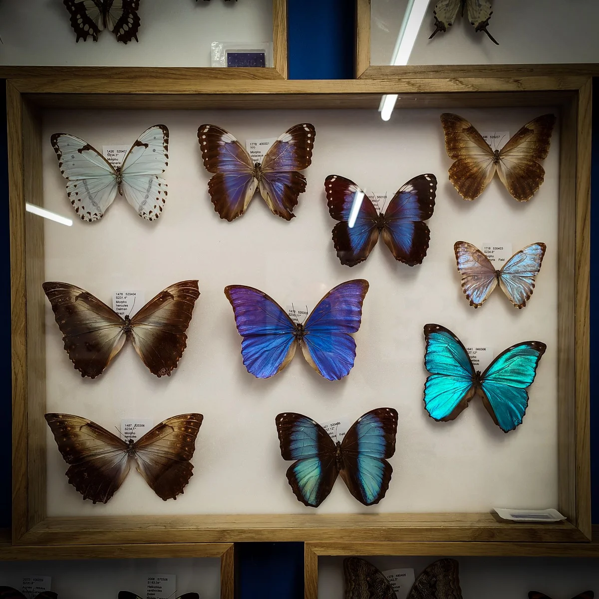 The Bug Parc in Lenwade, England - Ask AI | mindtrip