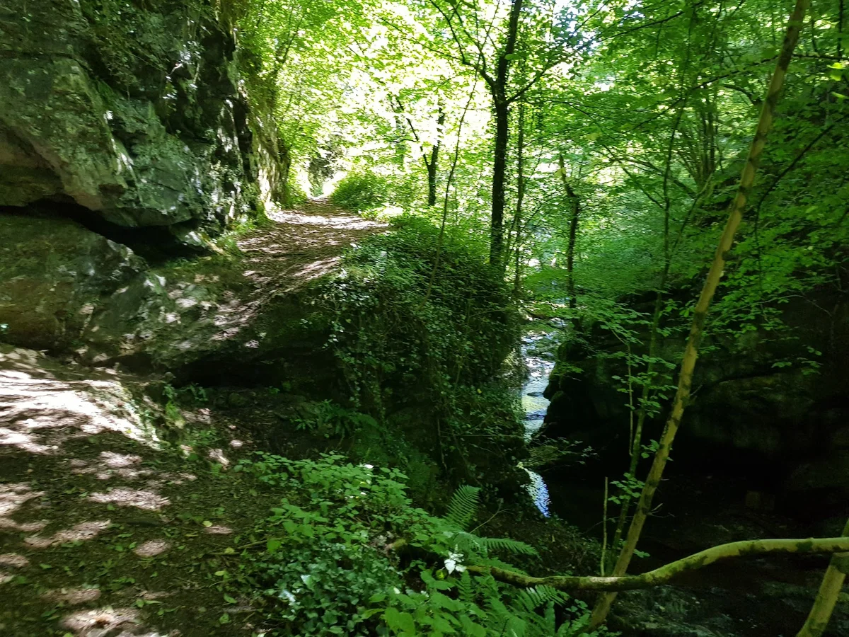 Dinas Rock Car Park in Pontneddfechan - Ask AI | mindtrip