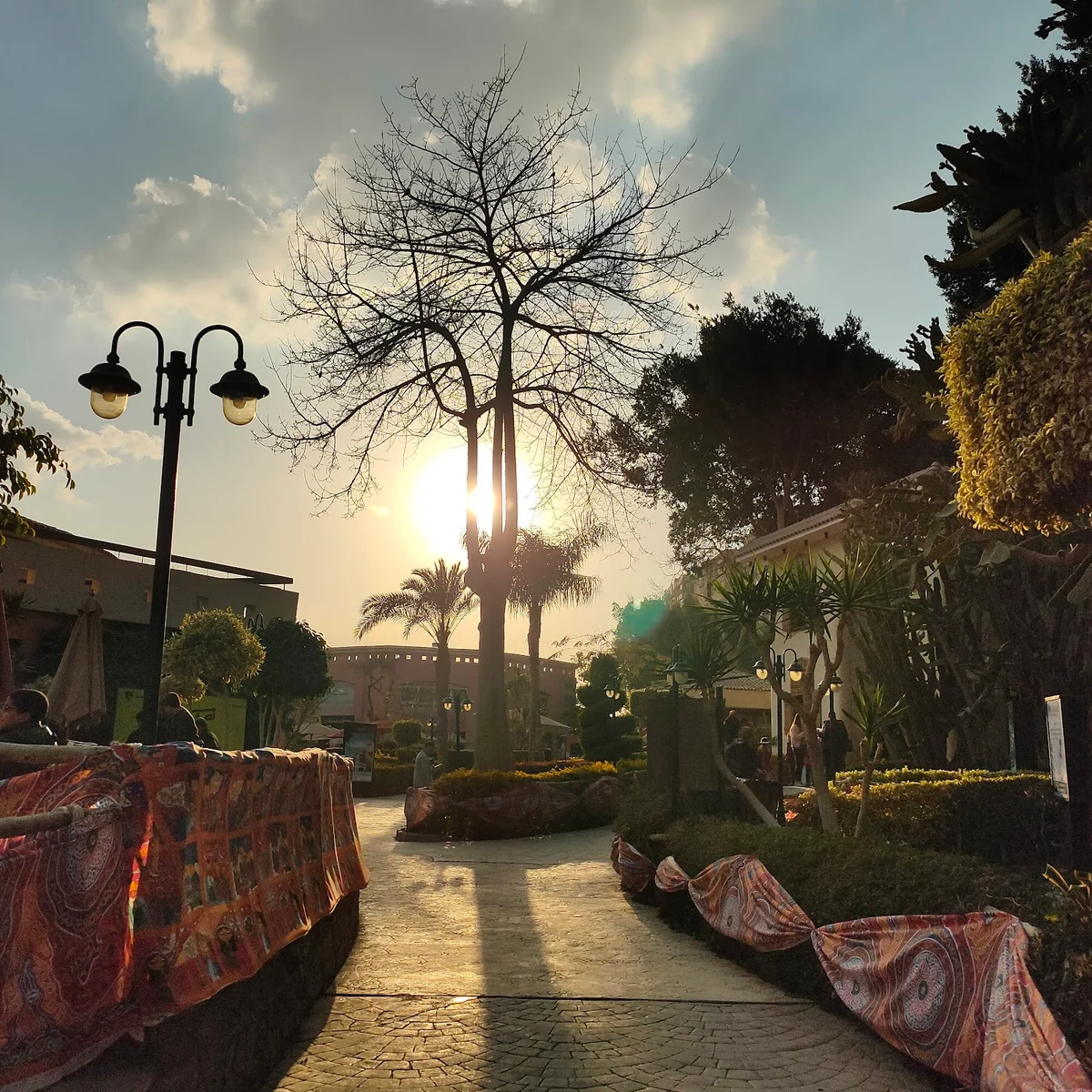 Wadi Degla Sporting Club Main Restaurant