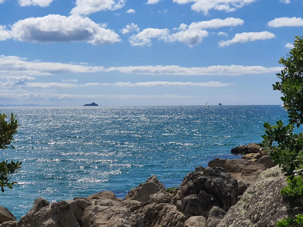 Moturiki Island in Tauranga, Bay of Plenty | Ask Anything