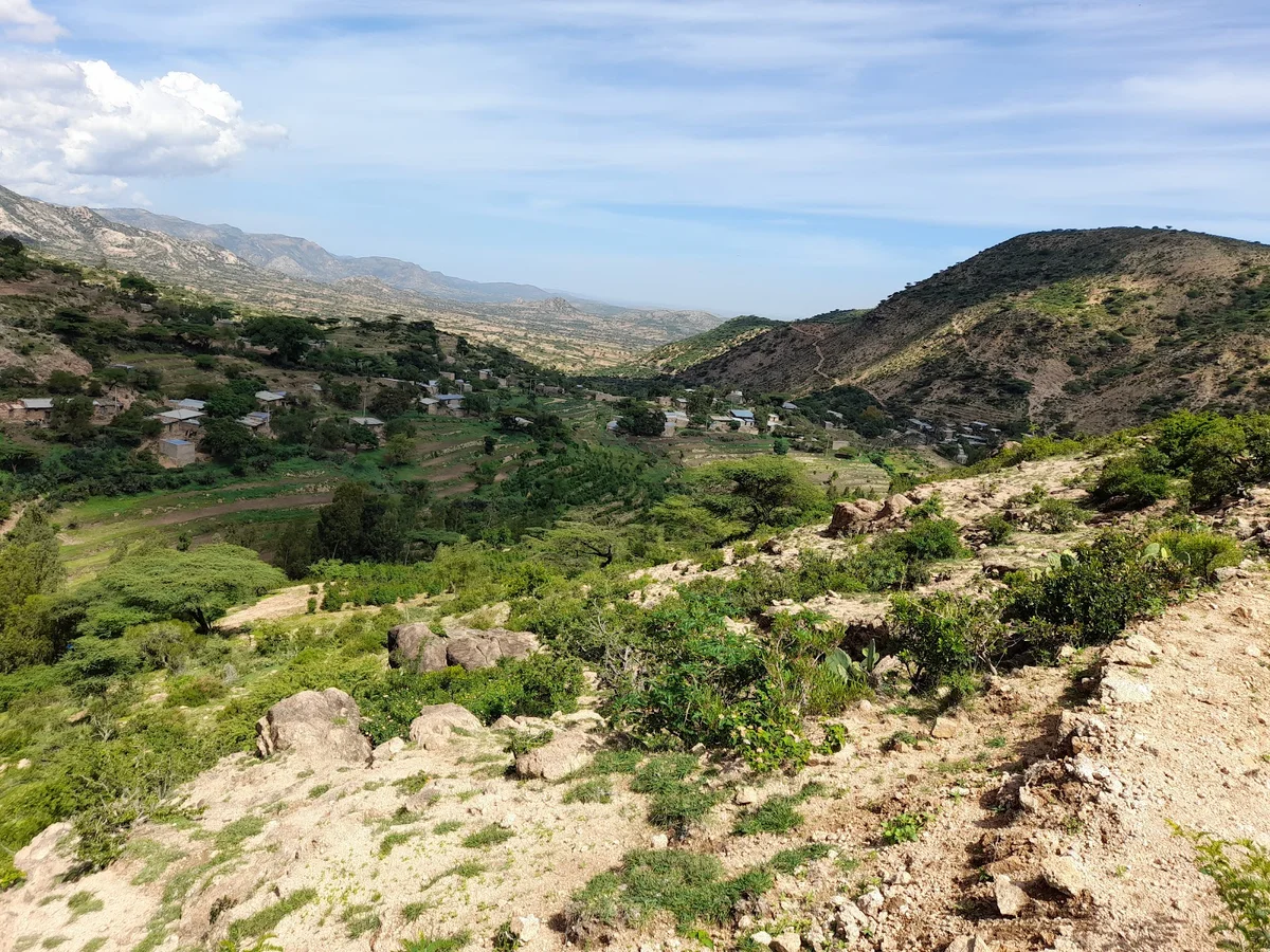 Harla, Dire Dawa in Dire Dawa | Ask Anything