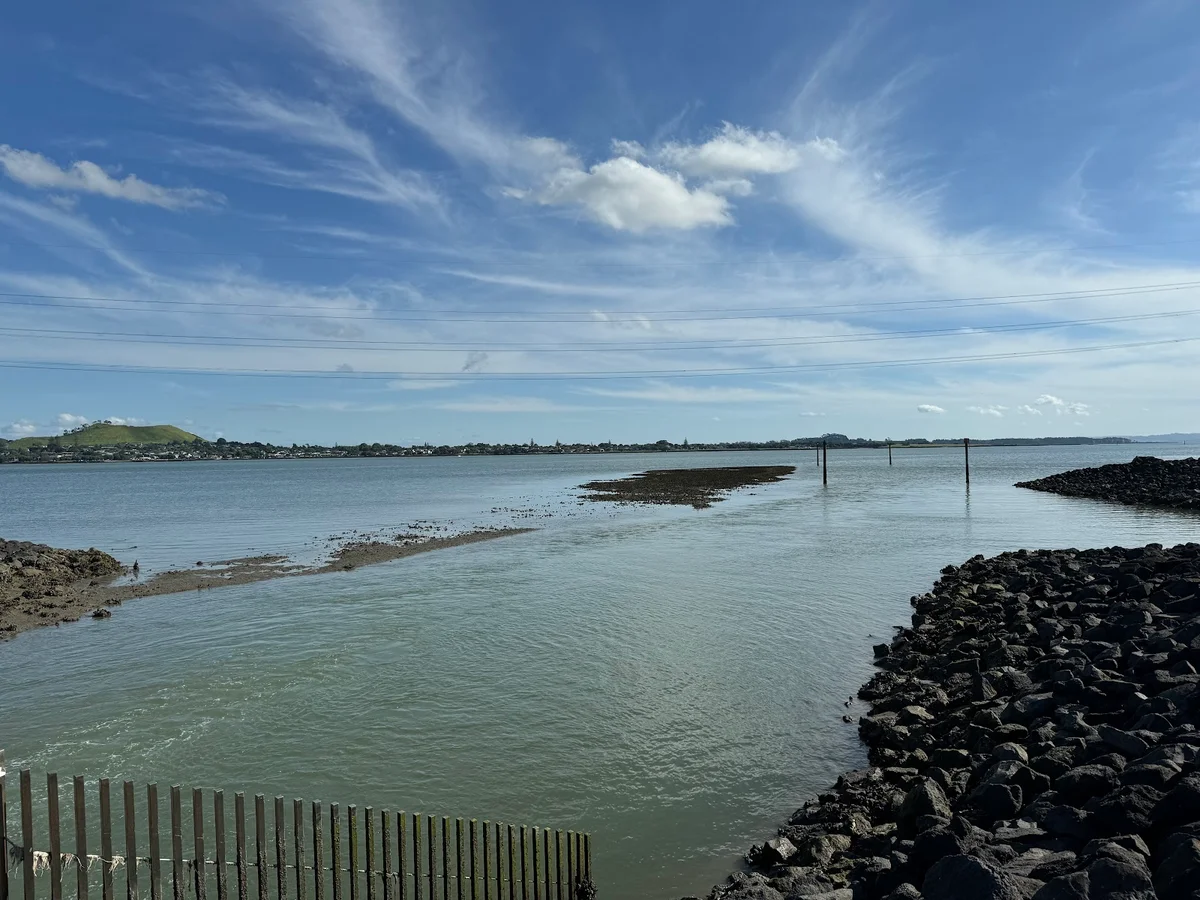 Onehunga Bay Reserve | What to Know Before You Go
