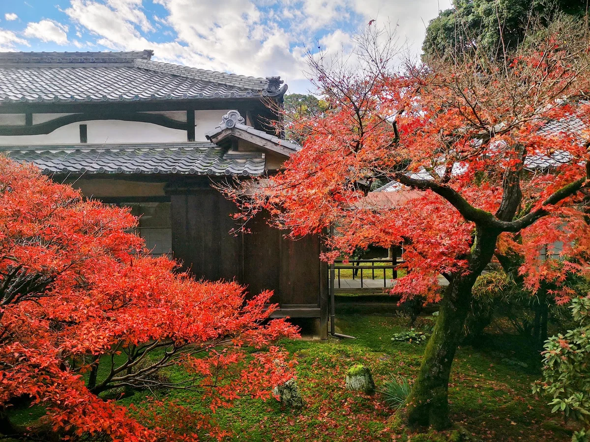Honshoji in Anjo, Aichi - Ask AI | mindtrip