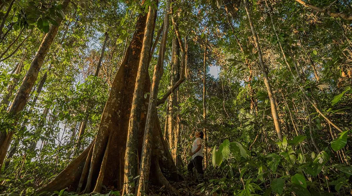 Parque Nacional Natural Amacayacu
