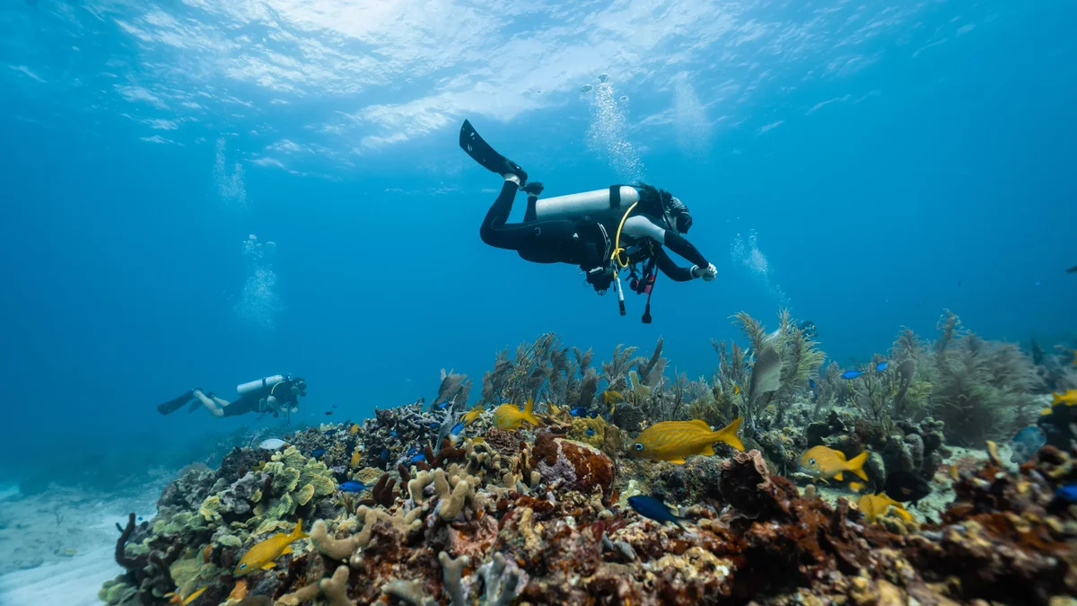 Maputo Dive Center in Maputo - Ask AI | mindtrip