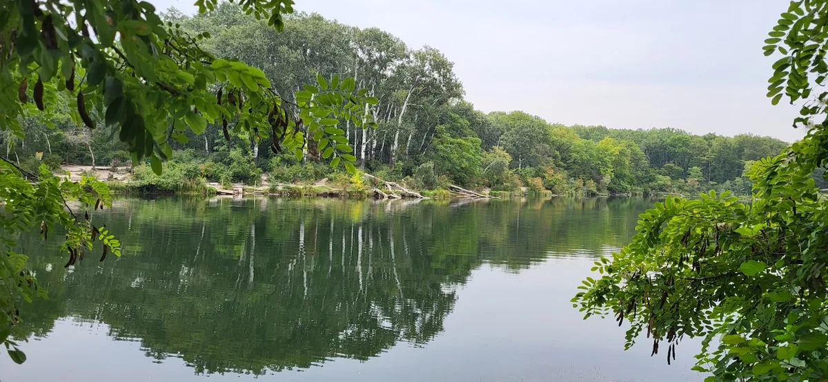 Nationalparkhaus Wien - Lobau in Vienna, Wien | Ask Anything