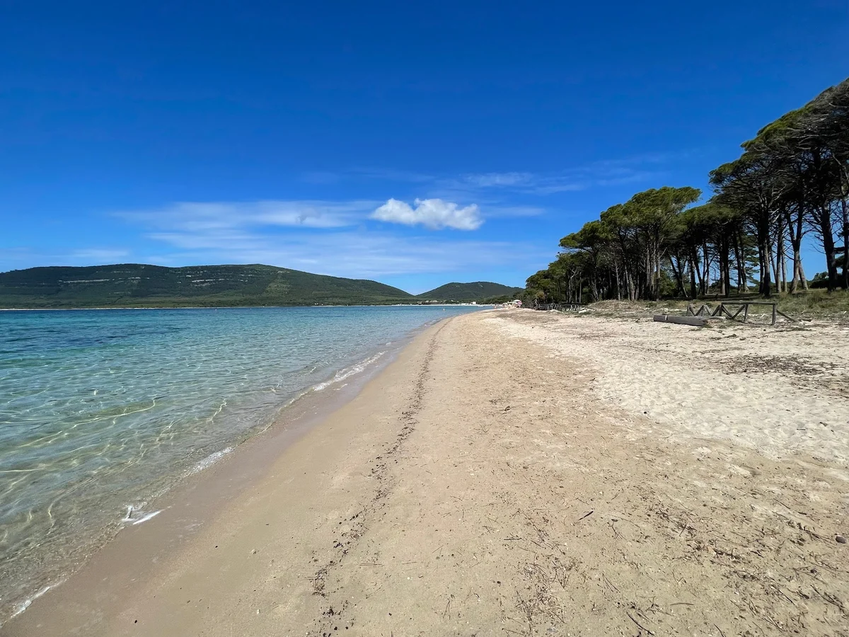 Spiaggia di Mugoni in Porto Conte - Ask AI | mindtrip
