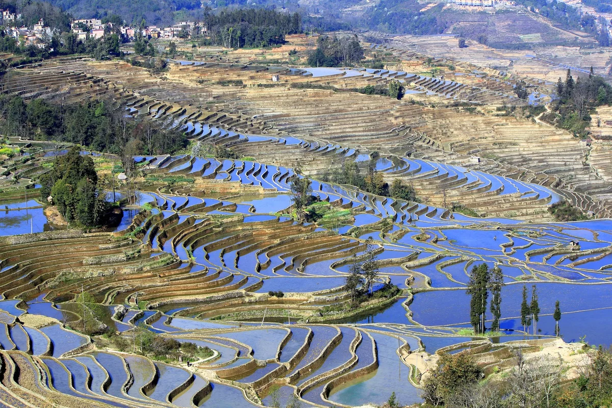 Qingkou Hani Folk Village resort - Ask AI | mindtrip