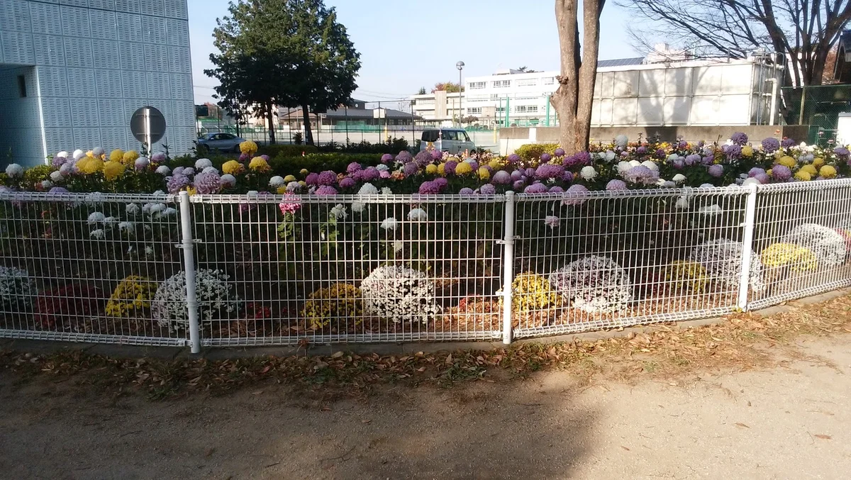 Honmachi Park in Kitamoto | What to Know Before You Go