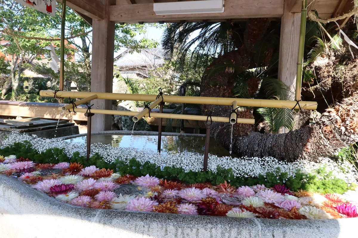 Minatoeki Shrine in Karatsu | What to Know Before You Go